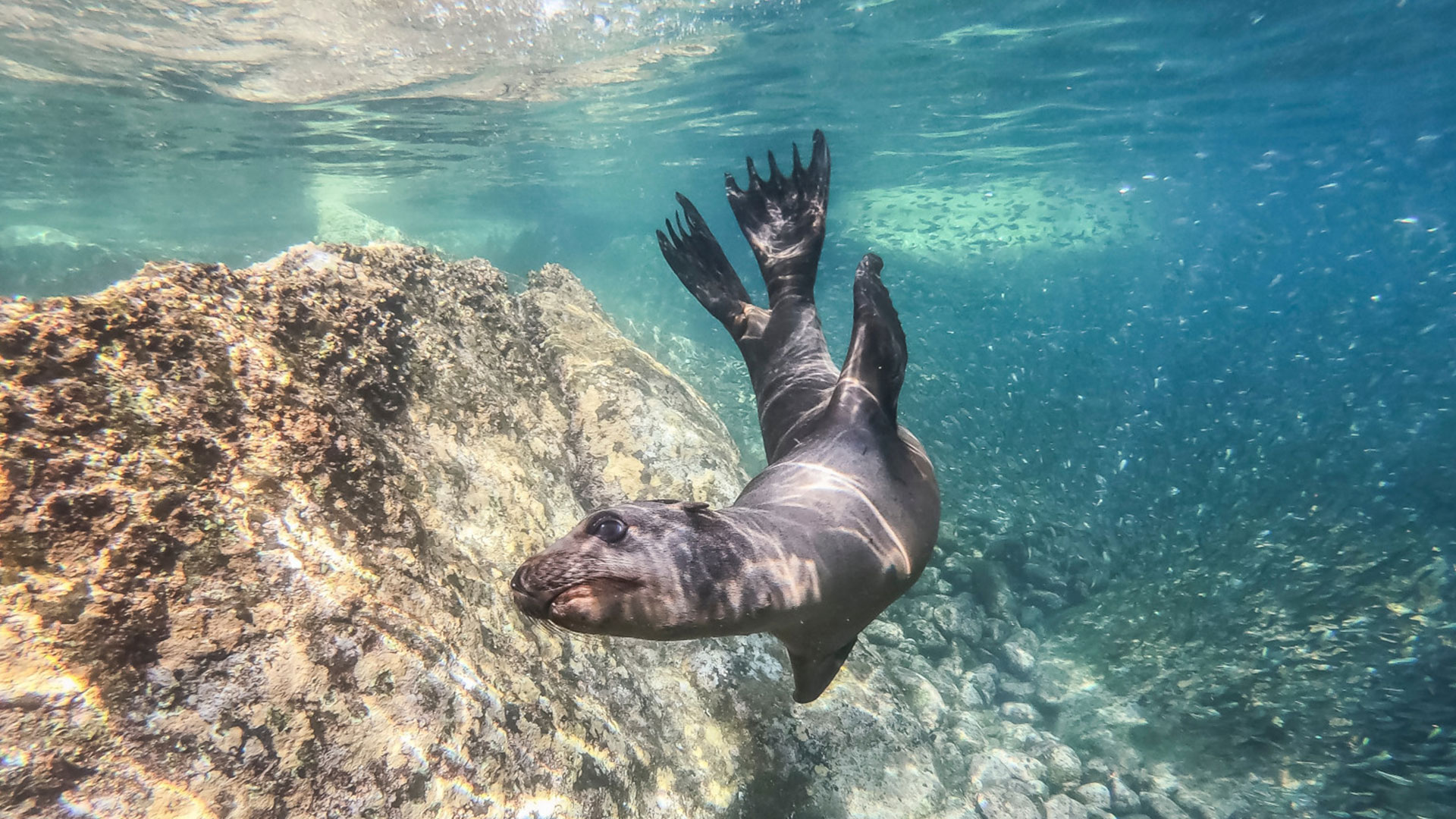 How to build bespoke agile software - Igale