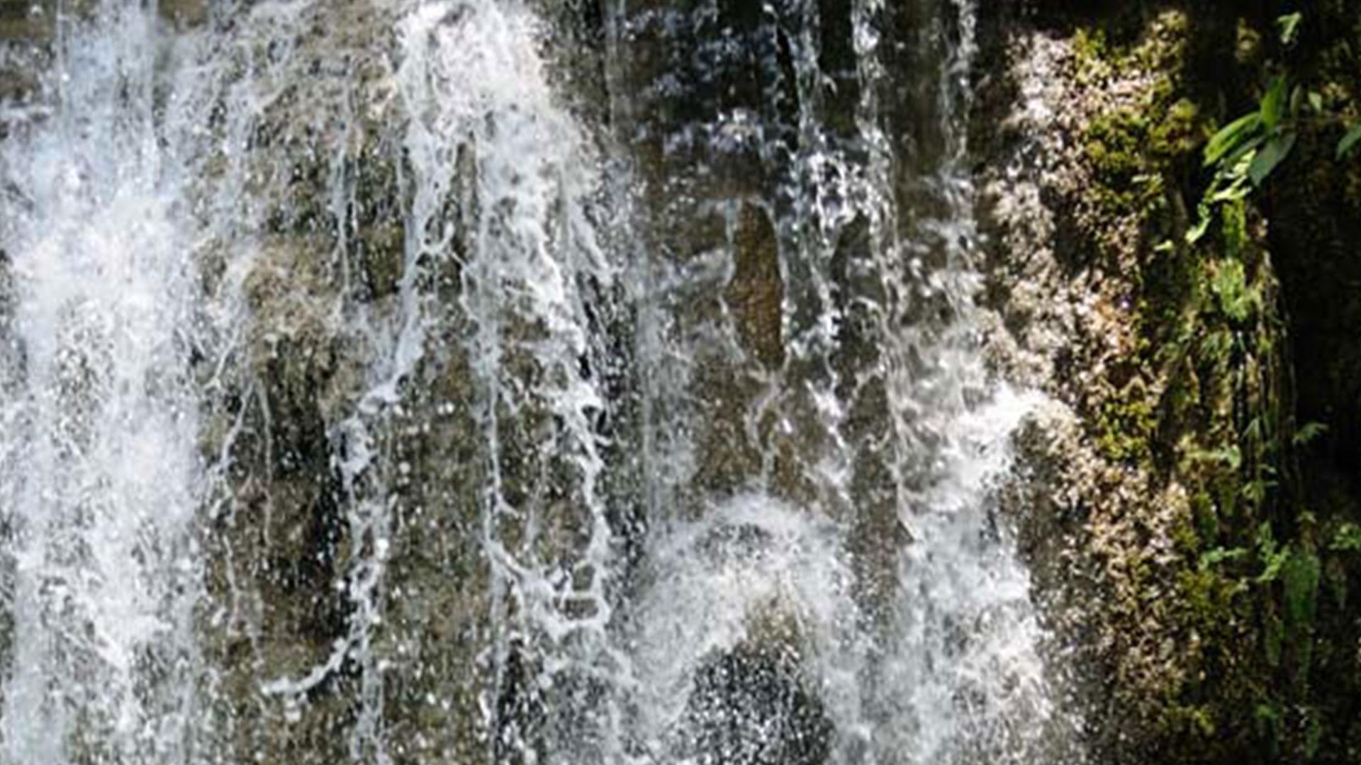 Agile vs Waterfall - Which method works best? - Igale